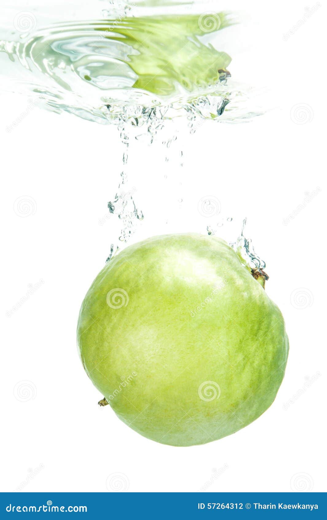 Fresh guava stock photo. Image of isolated, guava, white - 57264312