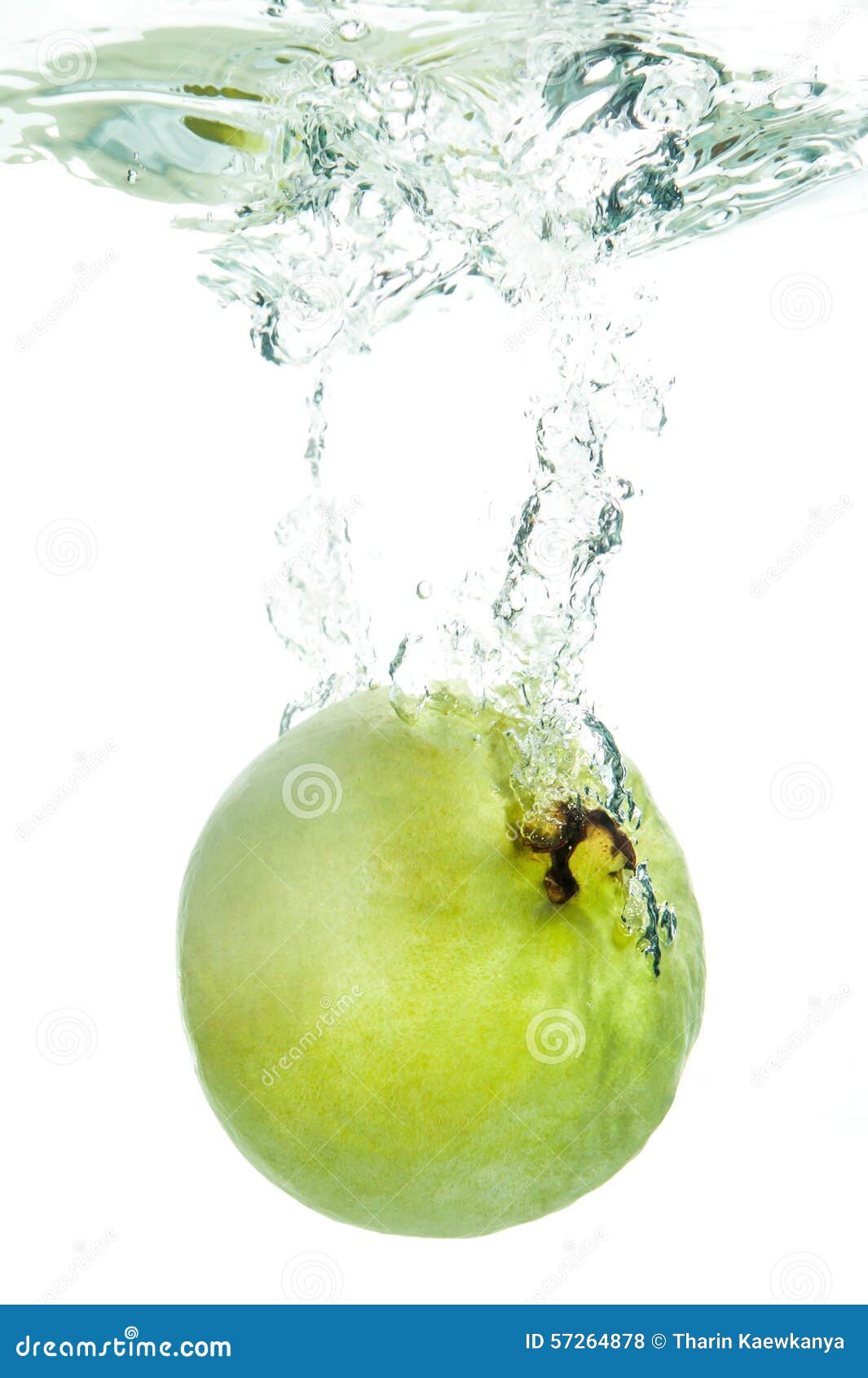 Fresh guava stock photo. Image of white, isolated, clean - 57264878