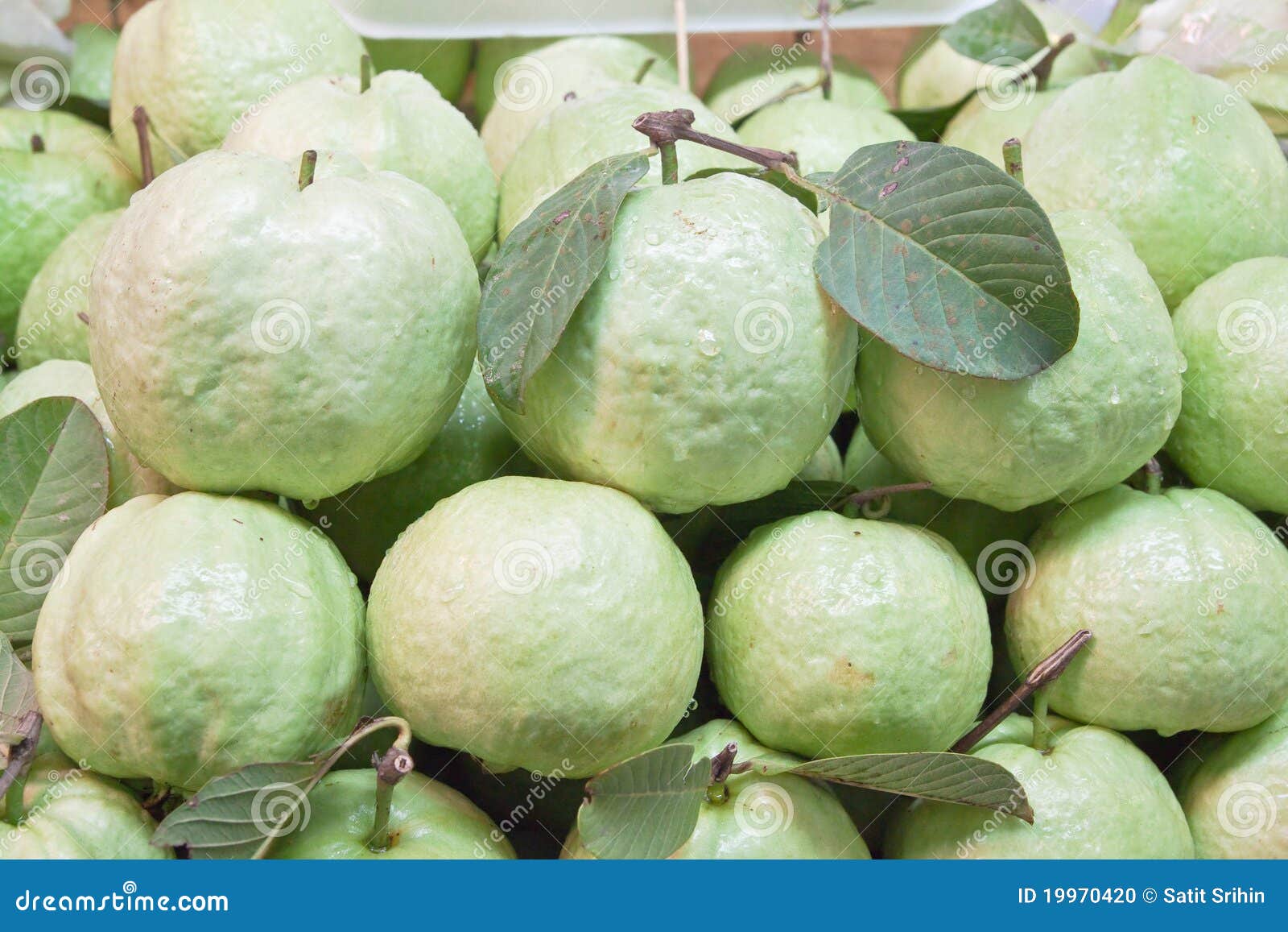 Fresh Guavas with Green Leaf Stock Photo - Image of specialty, halved ...