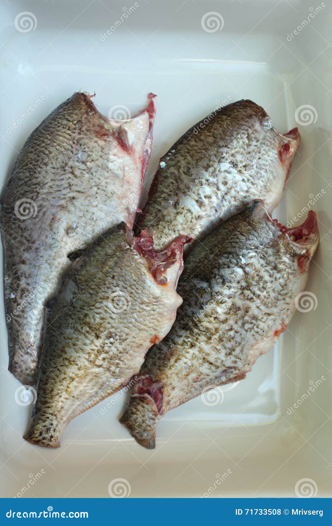 Fresh gutted fish stock photo. Image of fresh, freshness - 71733508