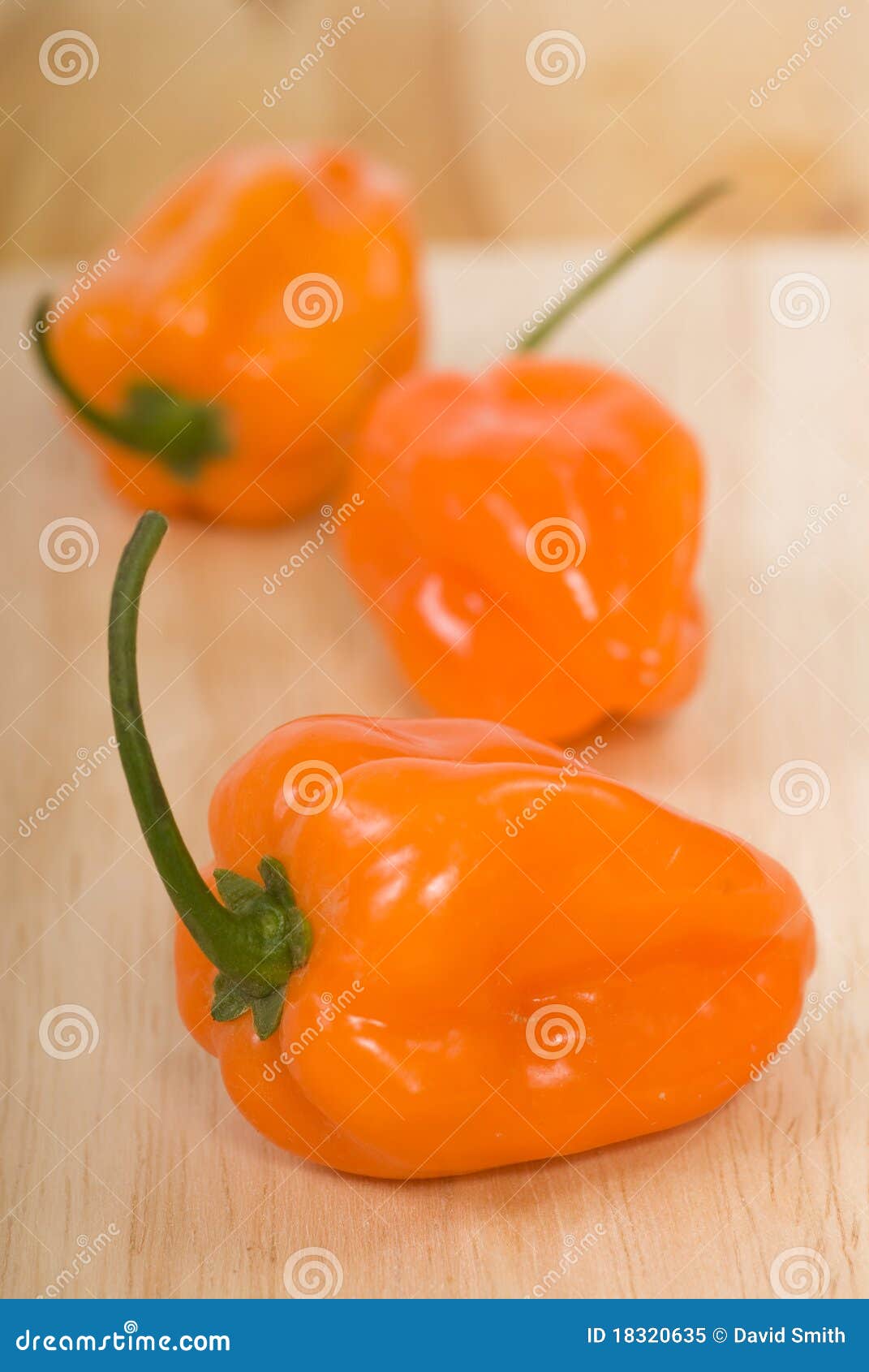 Fresh Habanero peppers stock image. Image of habanero - 18320635