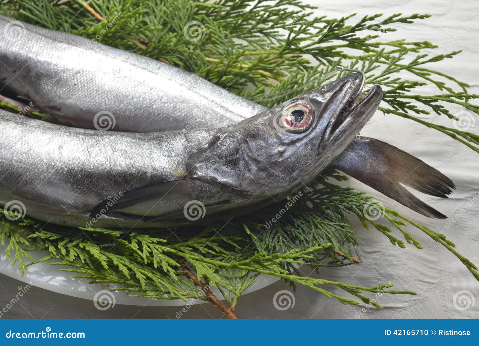 Fresh hake fishing hook stock photo. Image of food, detail - 42165710