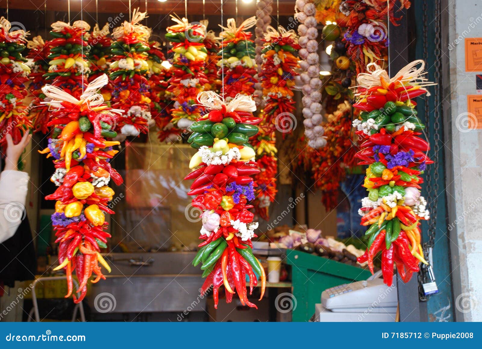 Fresh hanging chilies stock photo. Image of bright, chili - 7185712