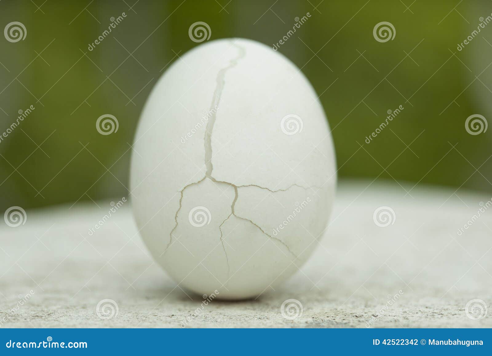 Fresh Hard Boiled Eggs with Shell. Stock Photo - Image of bread ...