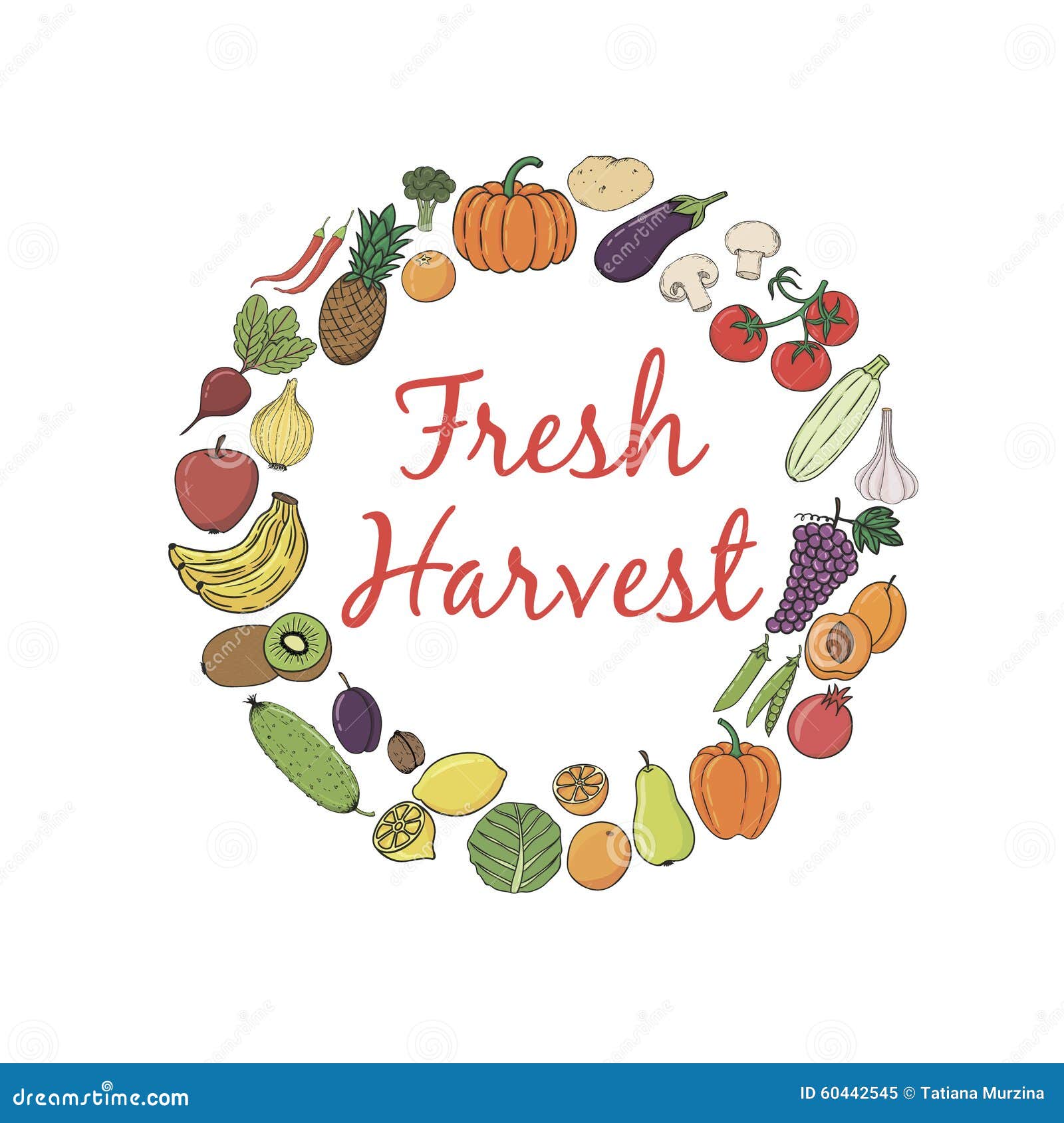 Fresh Harvest Hand-sketched Herbal Vector Frame. Stock Illustration ...