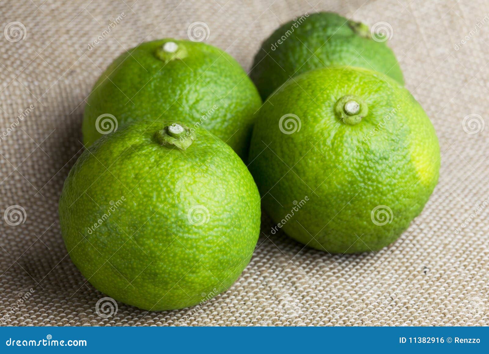 Fresh harvested Asian lime stock photo. Image of green - 11382916
