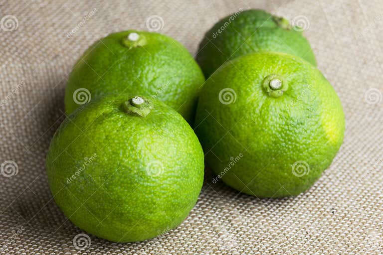 Fresh harvested Asian lime stock photo. Image of green - 11382916