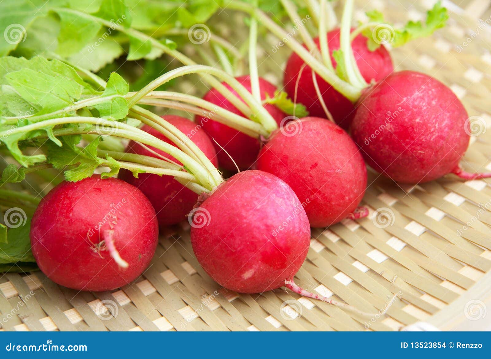 Fresh harvested red radish stock photo. Image of object - 13523854