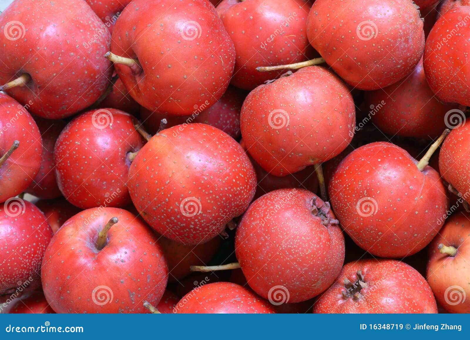 Fresh haws stock image. Image of fresh, eating, nature - 16348719