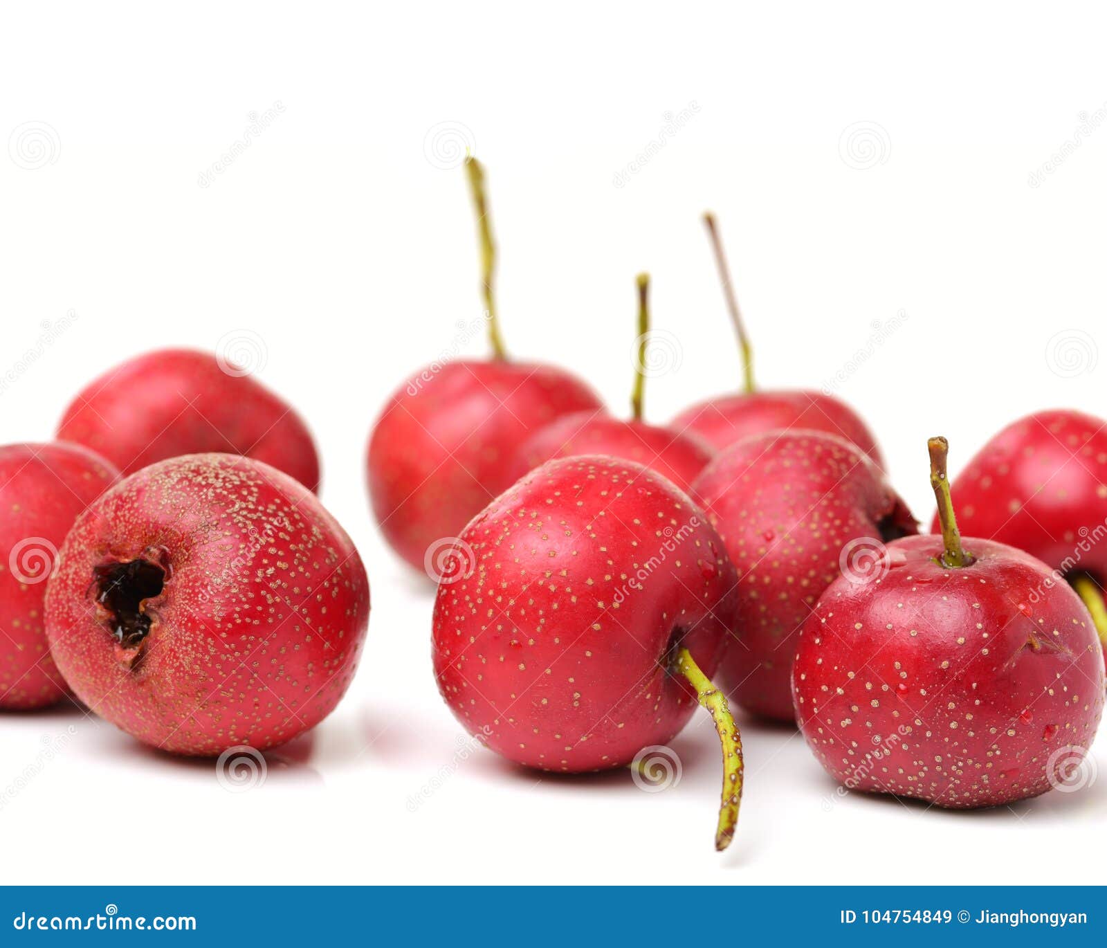 Fresh Hawthorn stock image. Image of objects, season - 104754849