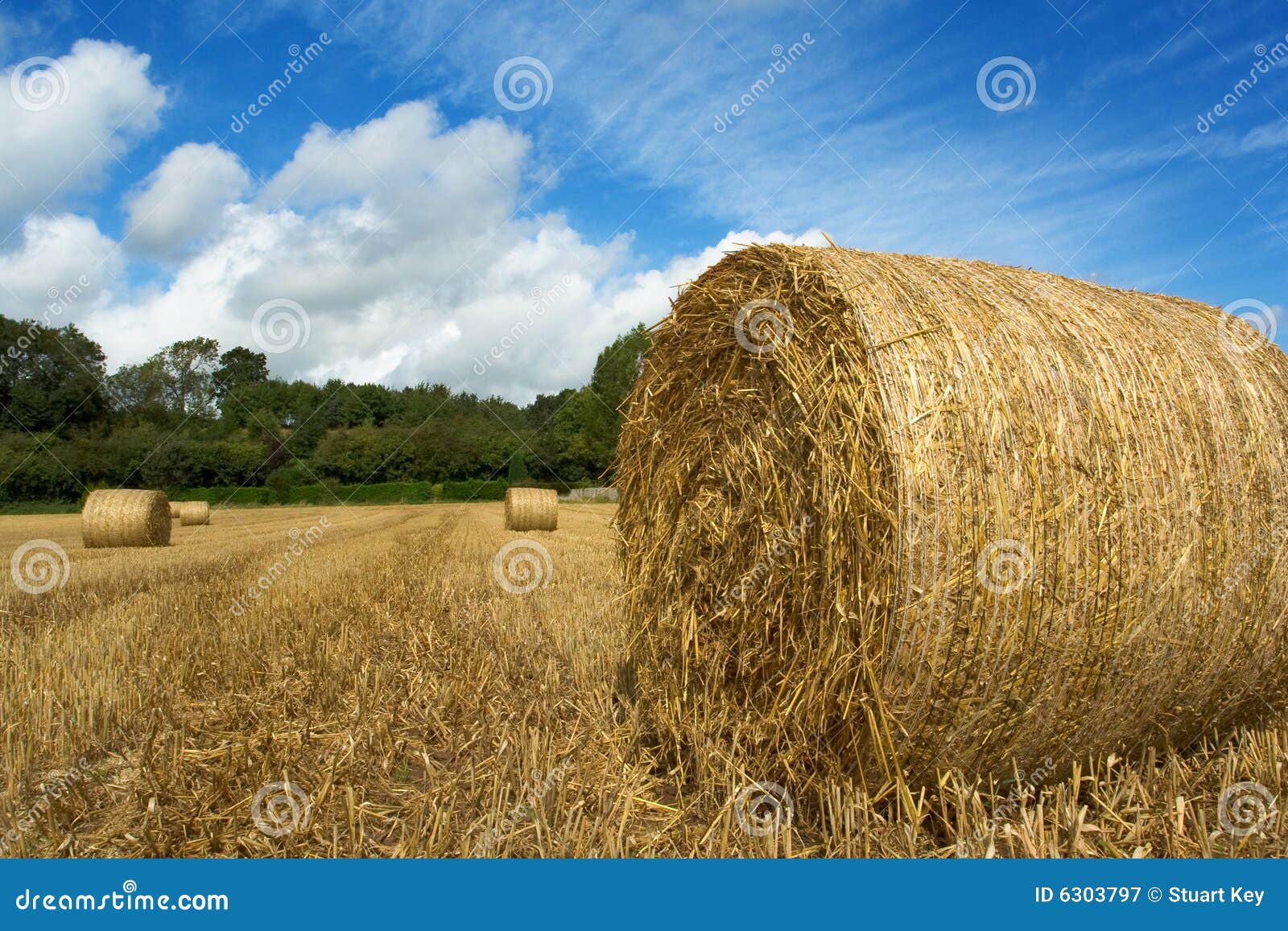 Fresh hay bales stock image. Image of agriculture, fluffy - 6303797