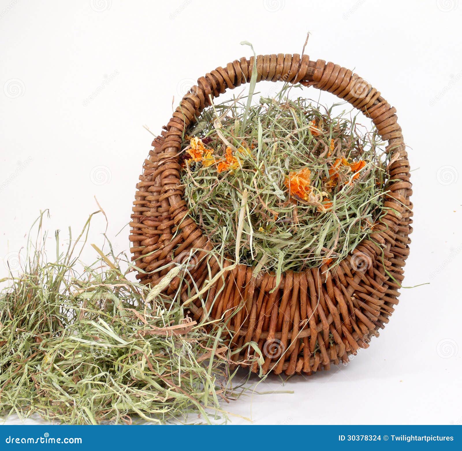 Fresh hay stock photo. Image of grass, object, white - 30378324