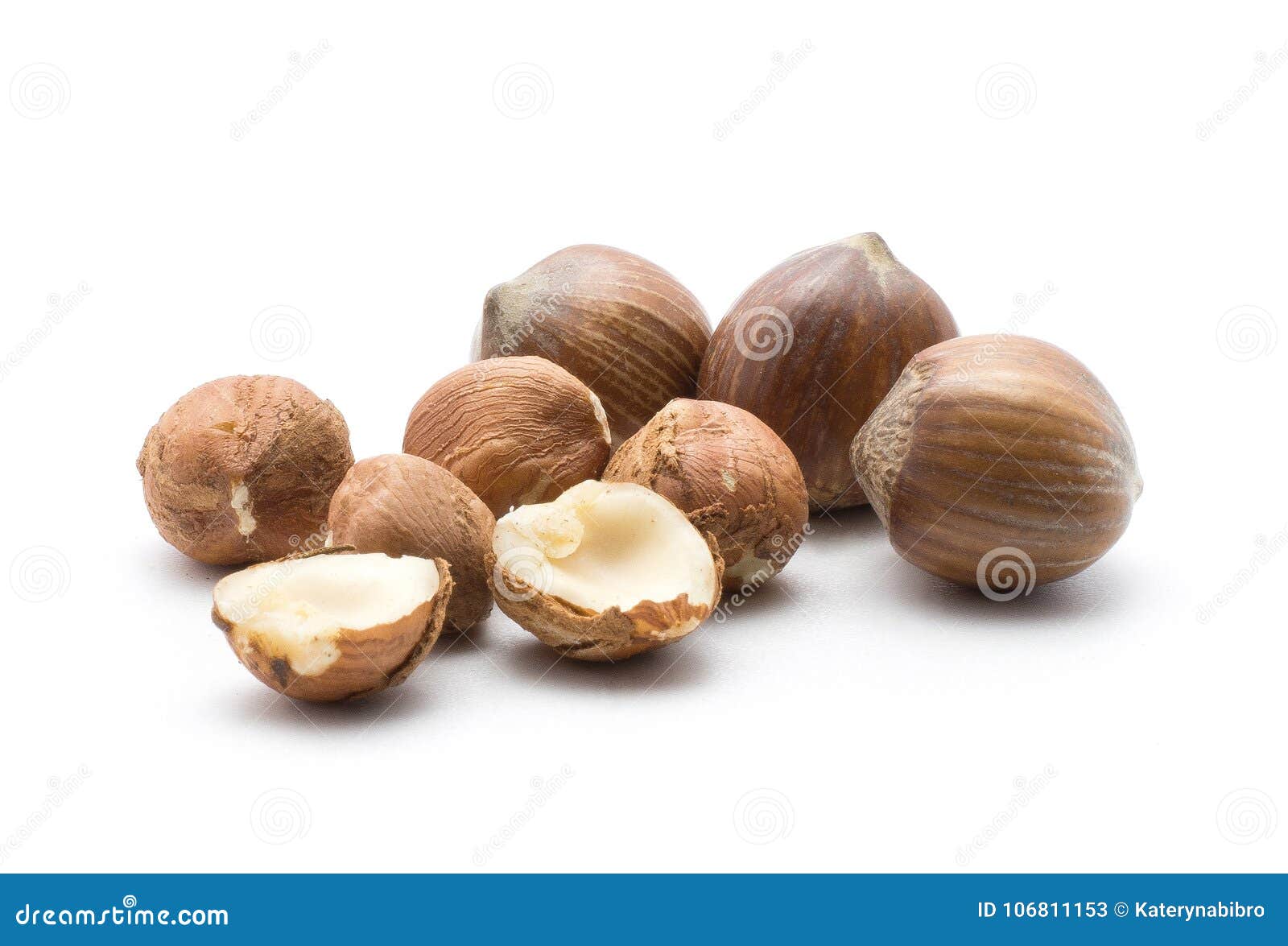 Fresh Hazelnut isolated stock image. Image of light - 106811153