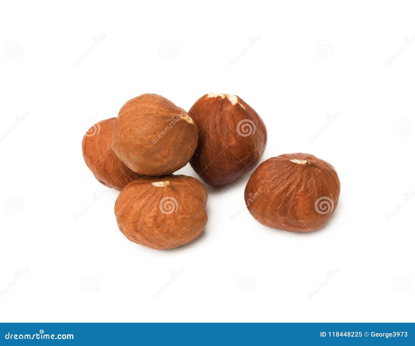 Fresh hazelnut isolated stock image. Image of eating - 118448225