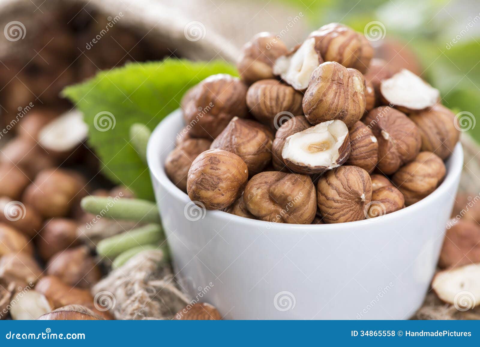Fresh Hazelnuts stock photo. Image of hazelnut, nuts - 34865558