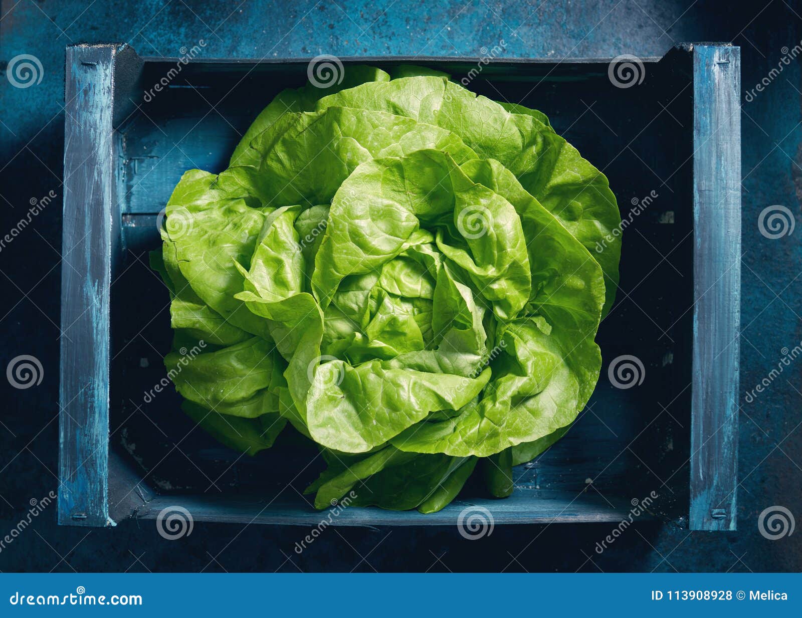 Fresh Head of Butter Lettuce Stock Photo - Image of crate, closeup ...