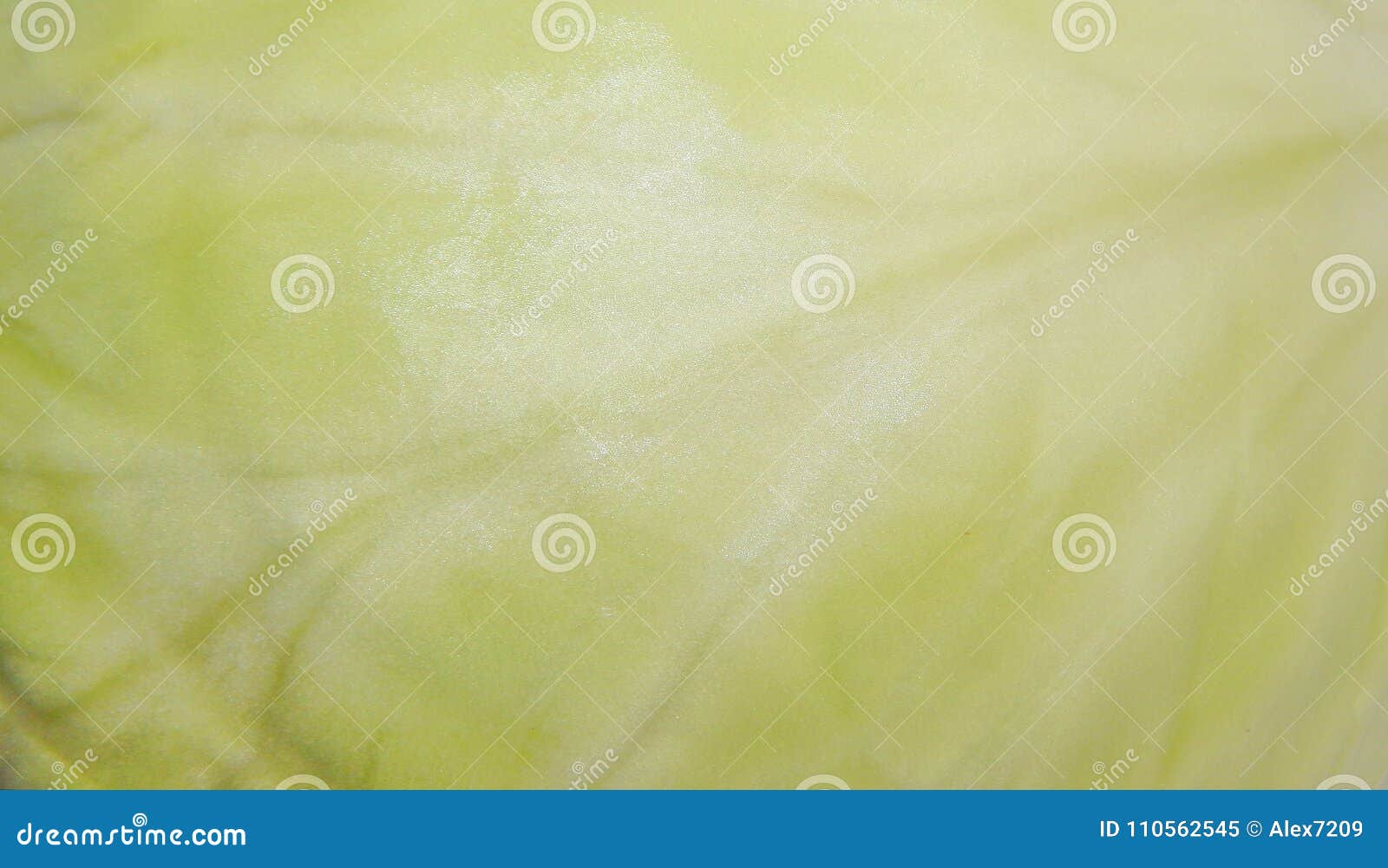 Fresh cabbage texture stock image. Image of head, isolated - 110562545
