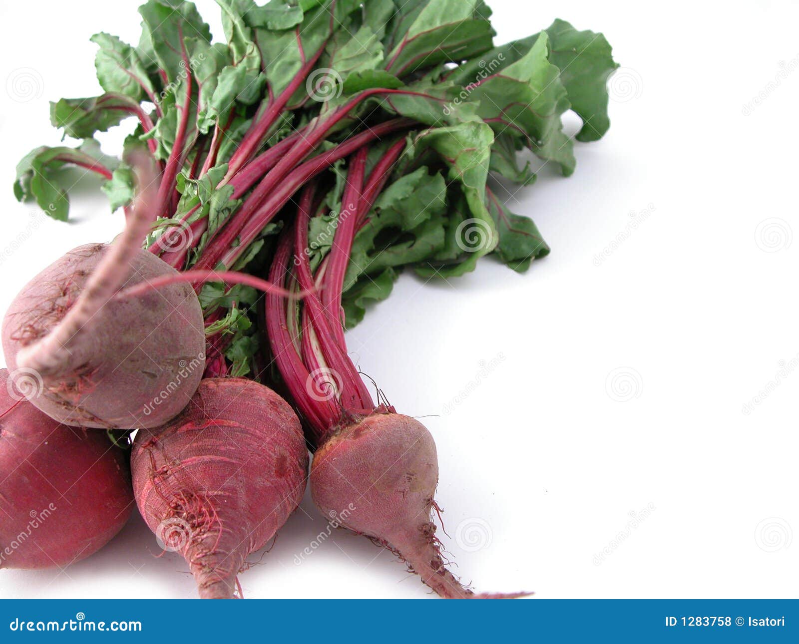 Fresh Healthy Bunch of Beetroot Stock Photo - Image of nutritious ...