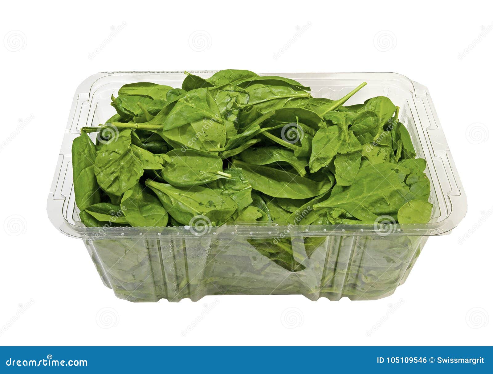 Container with Fresh Organic Spinach Stock Photo - Image of agriculture ...