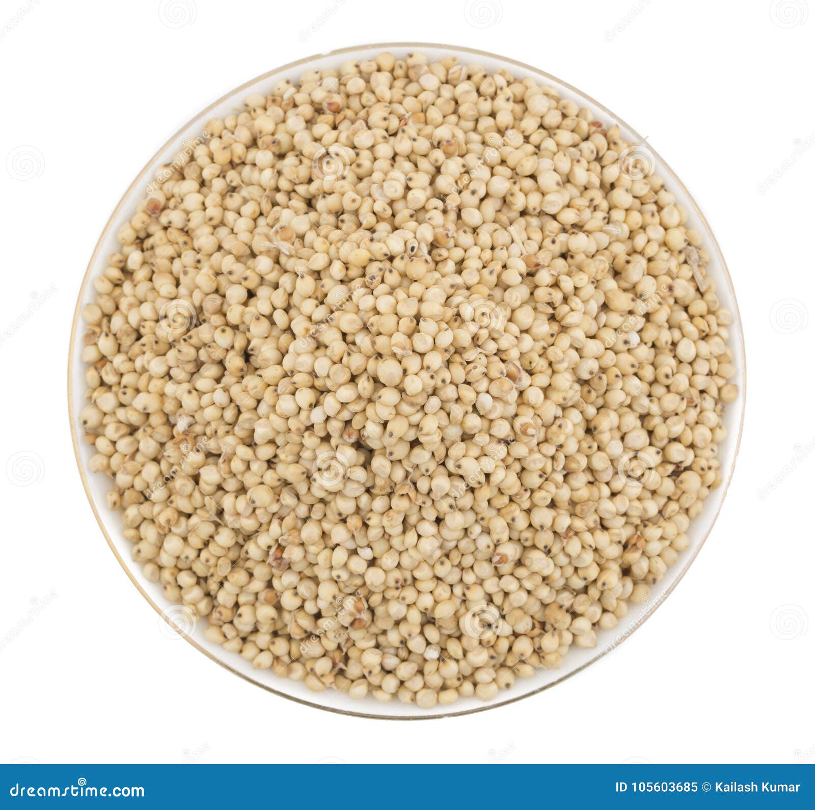 Sorghum Seed Royalty-Free Stock Photography | CartoonDealer.com #105603881