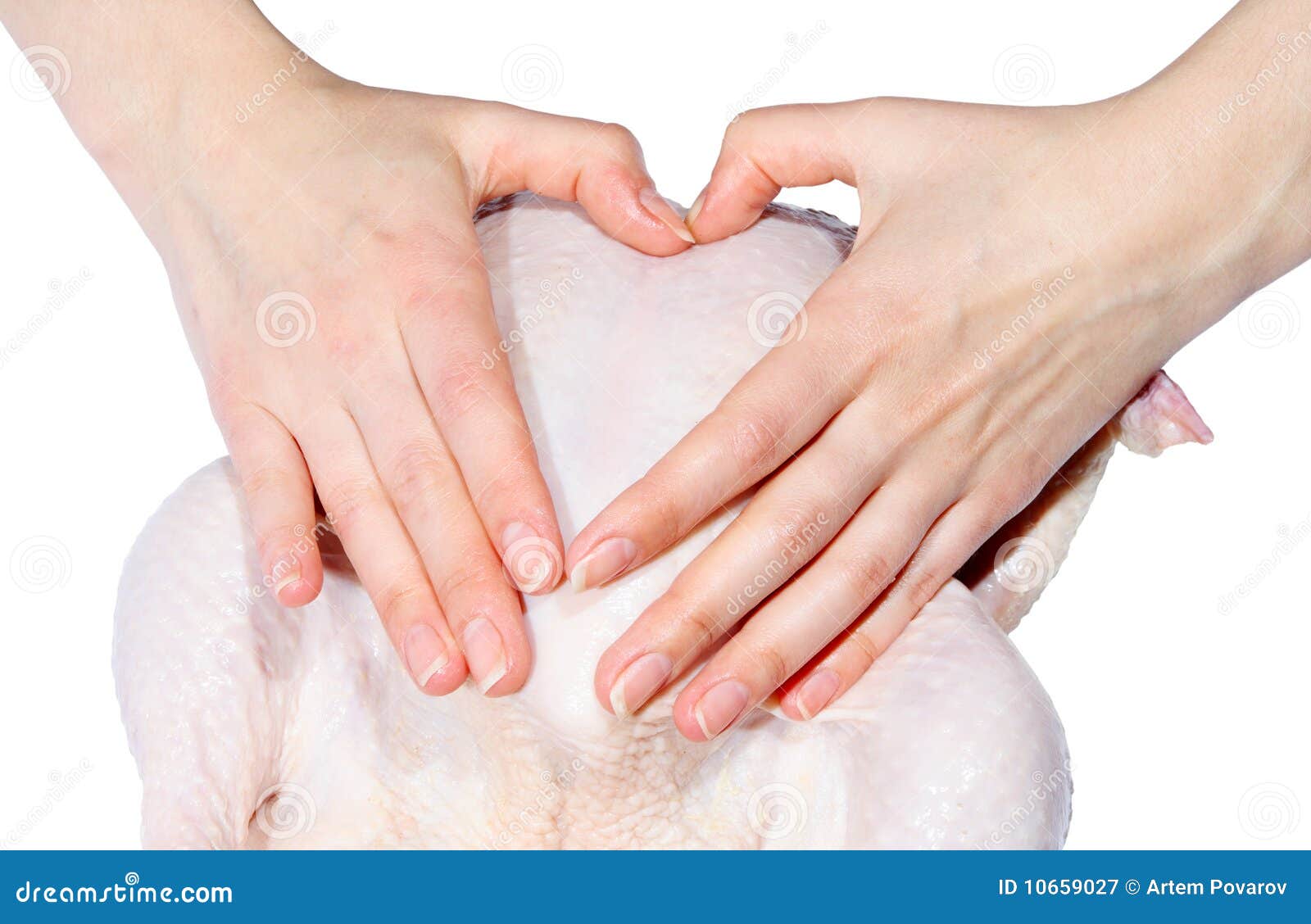 Fresh Hen in a Hand on the White Background Stock Image - Image of ...