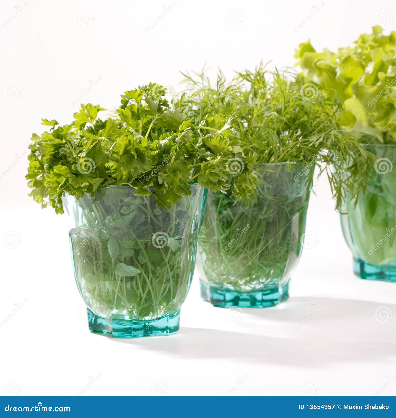 Fresh herbs stock image. Image of dill, garden, botanical - 13654357