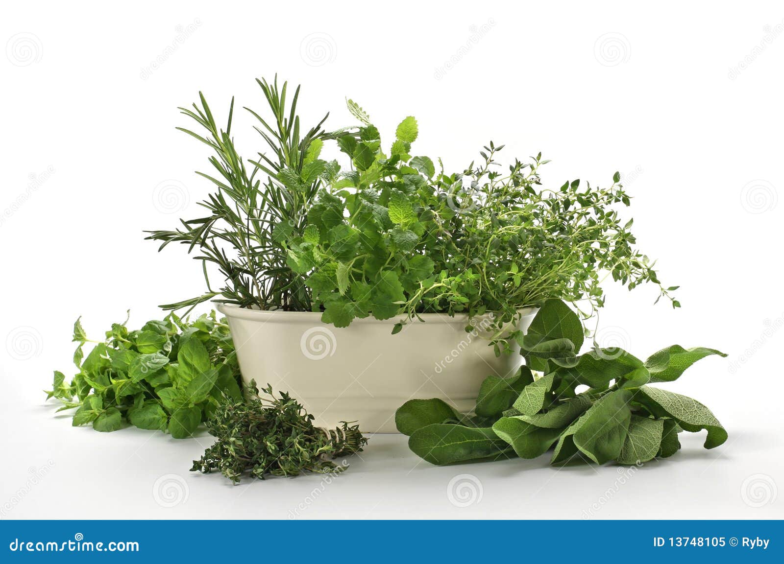 Fresh herbs stock image. Image of plant, medicine, herbal - 13748105