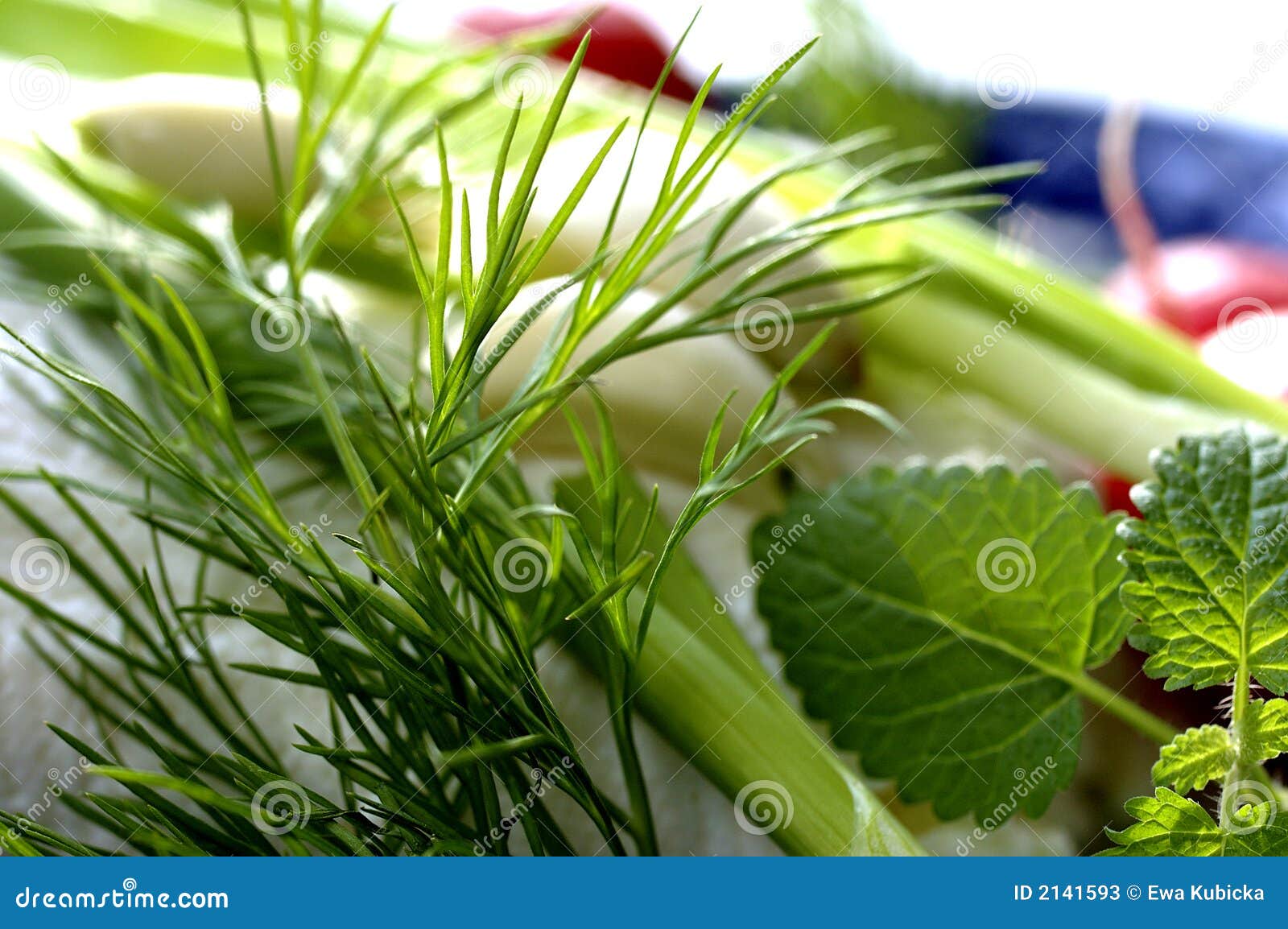 Fresh herbs stock image. Image of lemon, vitamins, melissa - 2141593