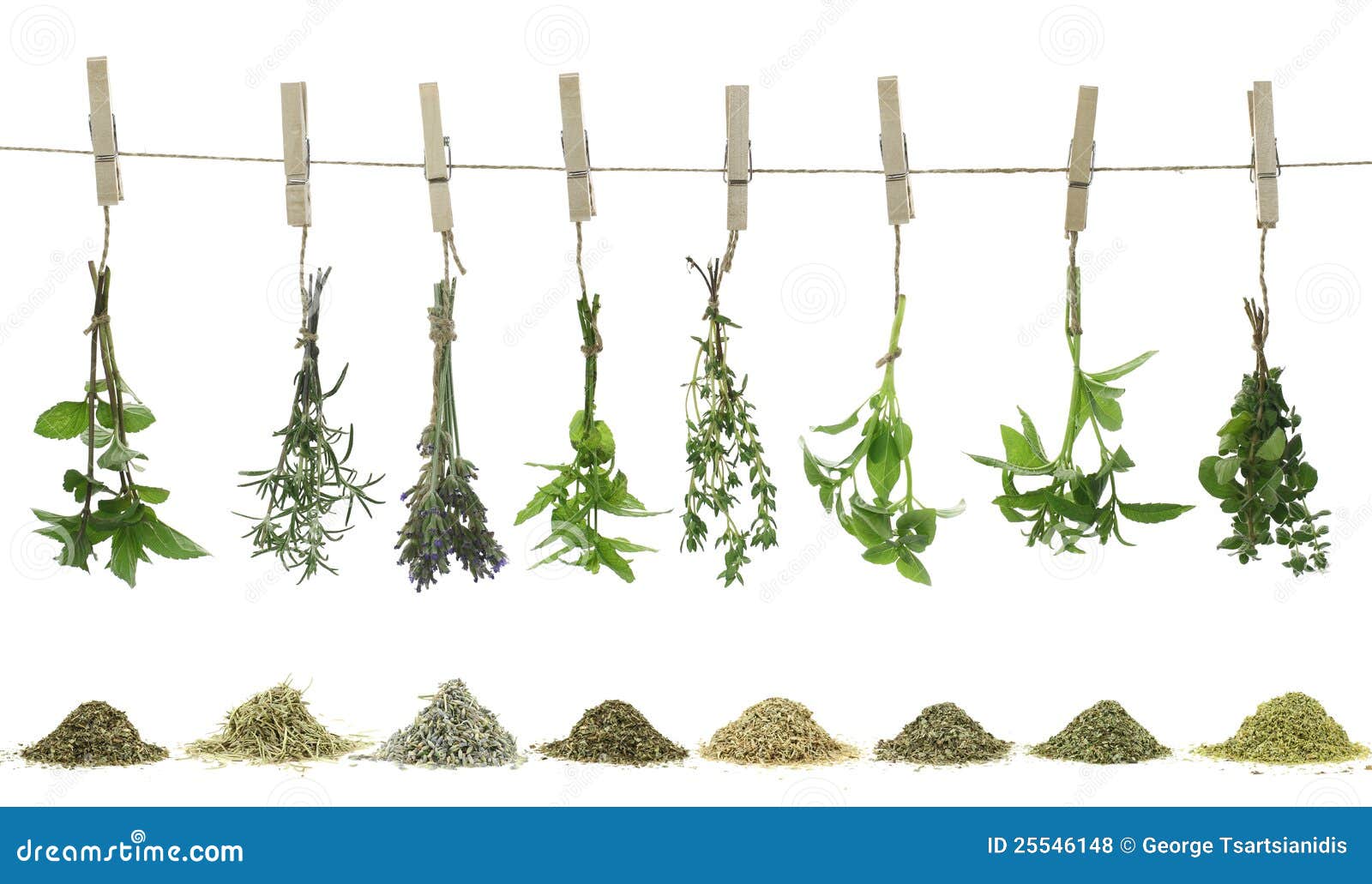 Fresh herbs stock photo. Image of condiment, botany, flavor - 25546148