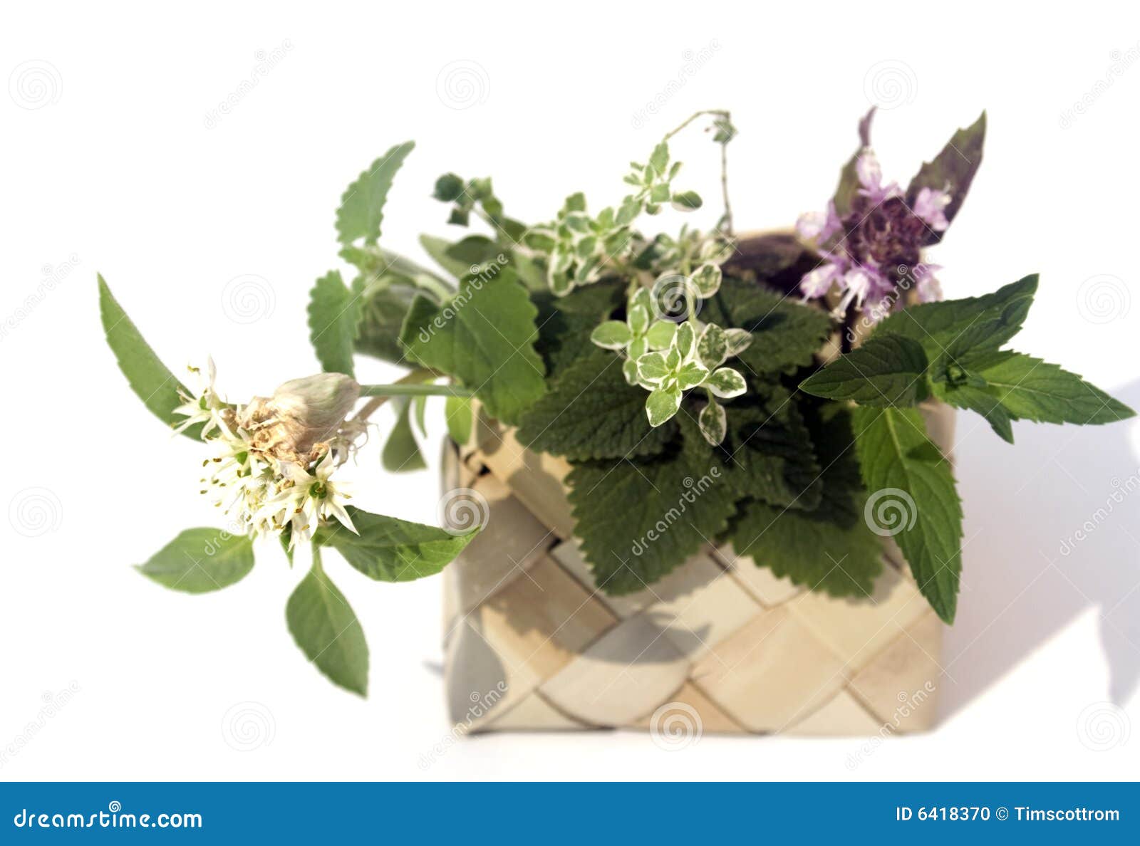 Fresh herbs in basket stock photo. Image of food, flavorful - 6418370