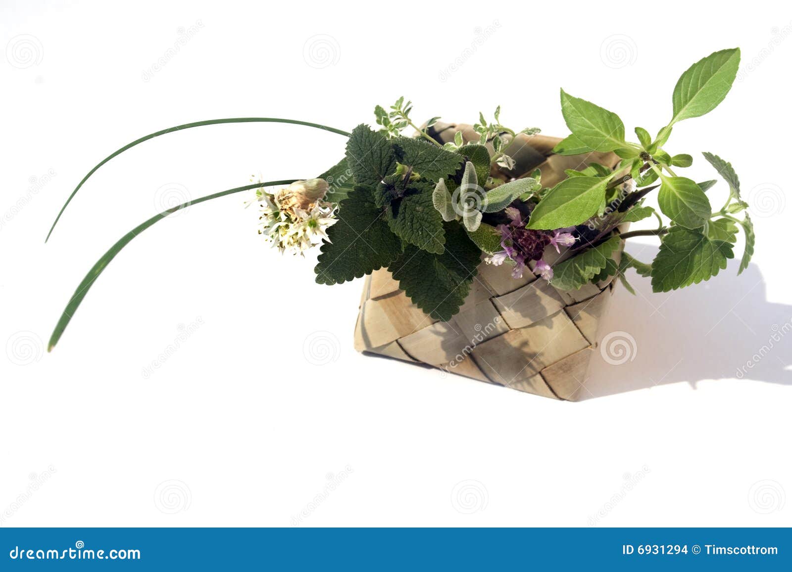 Fresh herbs in basket stock photo. Image of chive, healing - 6931294