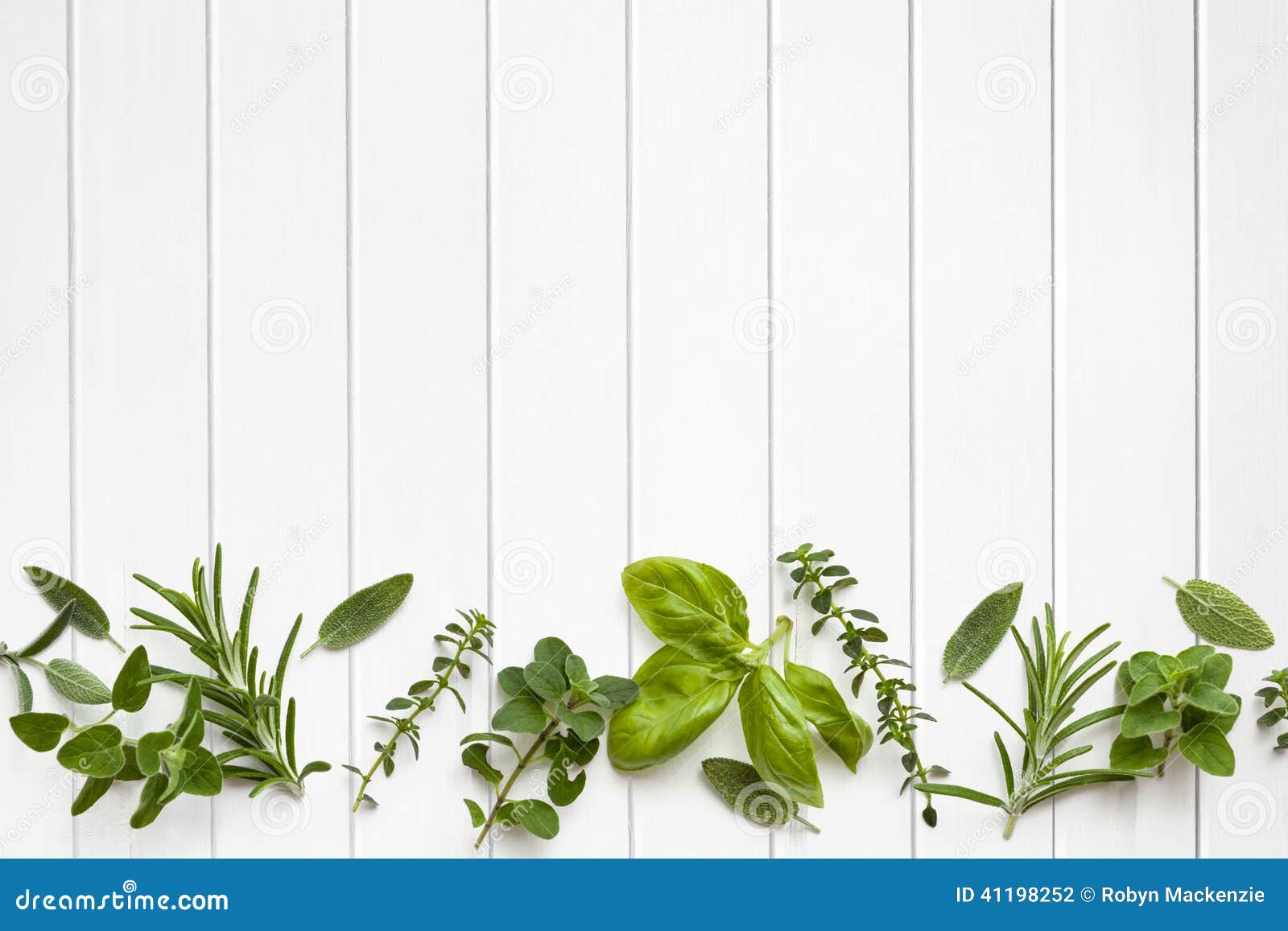 Fresh Herbs Border stock photo. Image of basil, border - 41198252