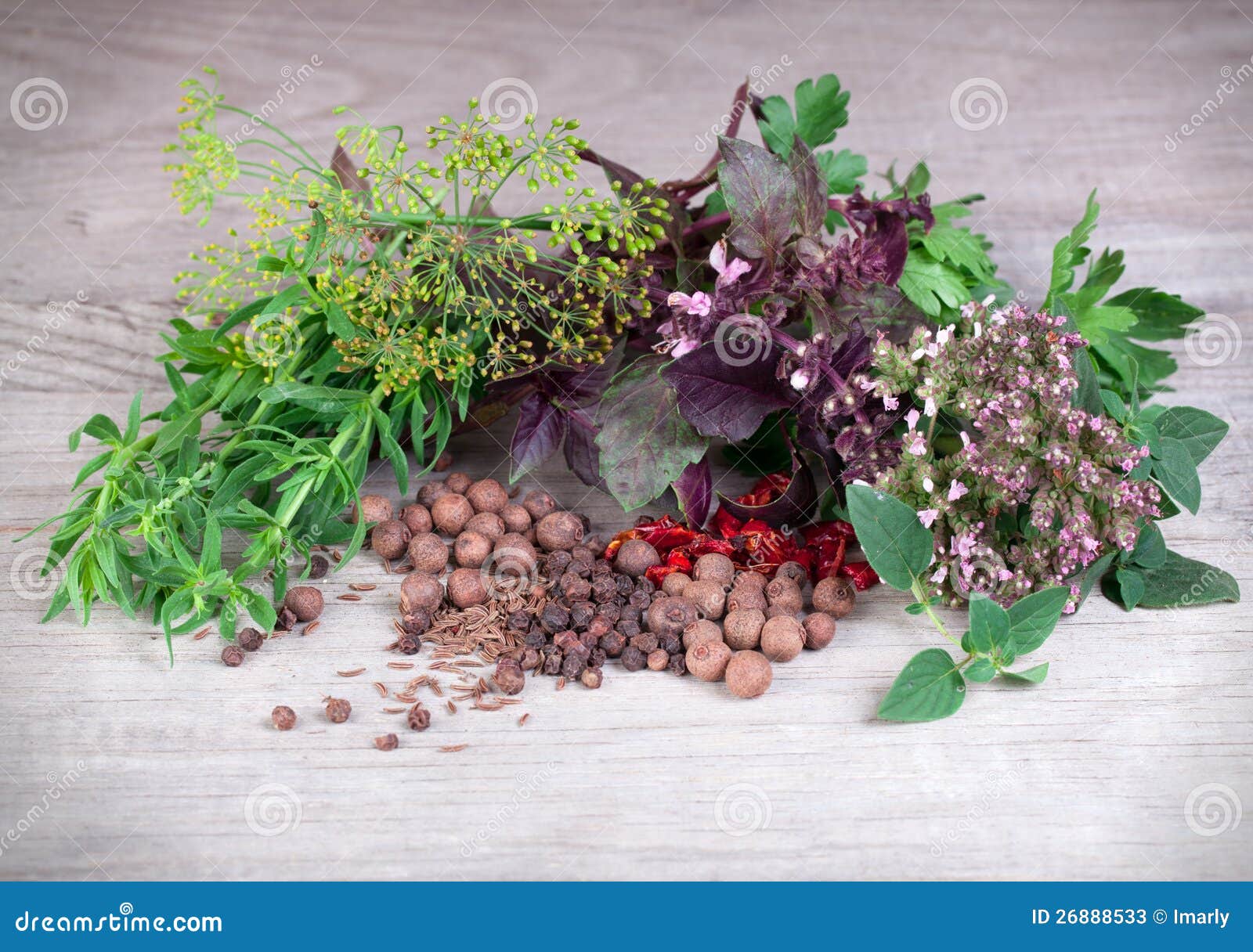 Fresh herbs collection stock image. Image of healthy - 26888533