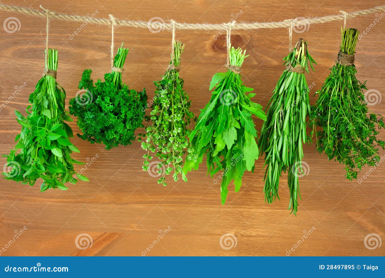 Fresh Herbs Collection / Vintage Style Stock Image - Image of plate ...