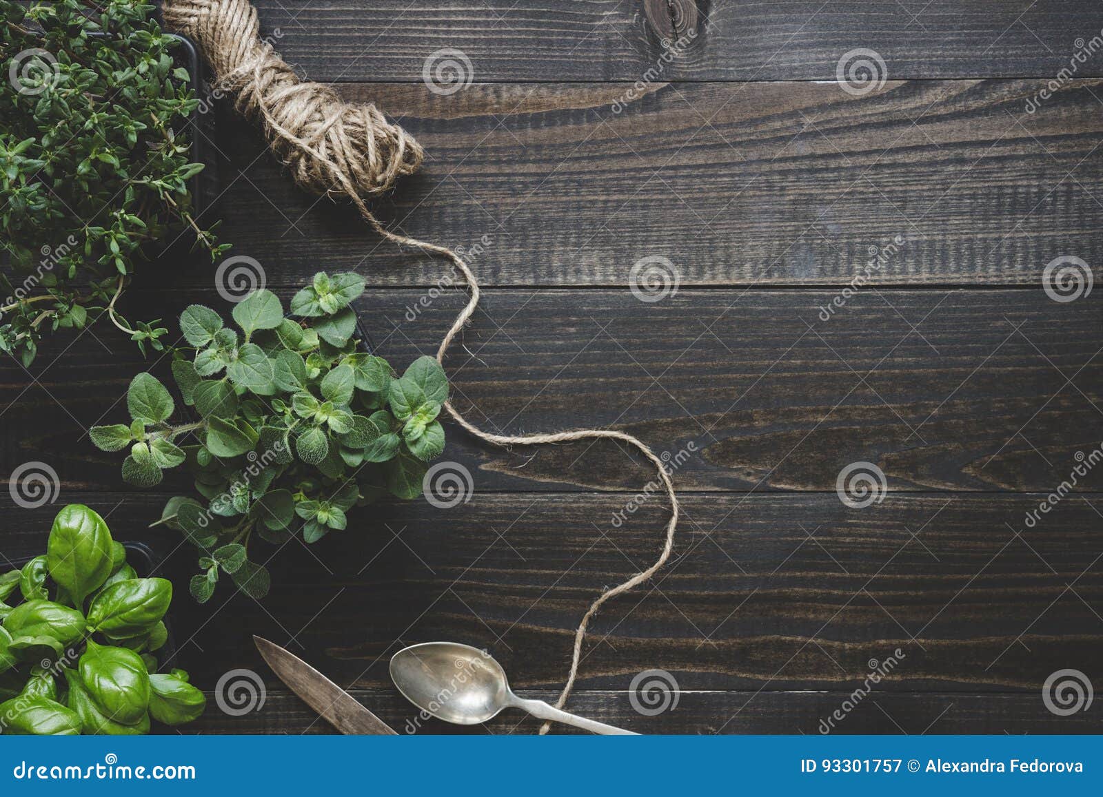 Fresh Herbs on the Dark Wooden Table, Top View. Rustic Background with ...