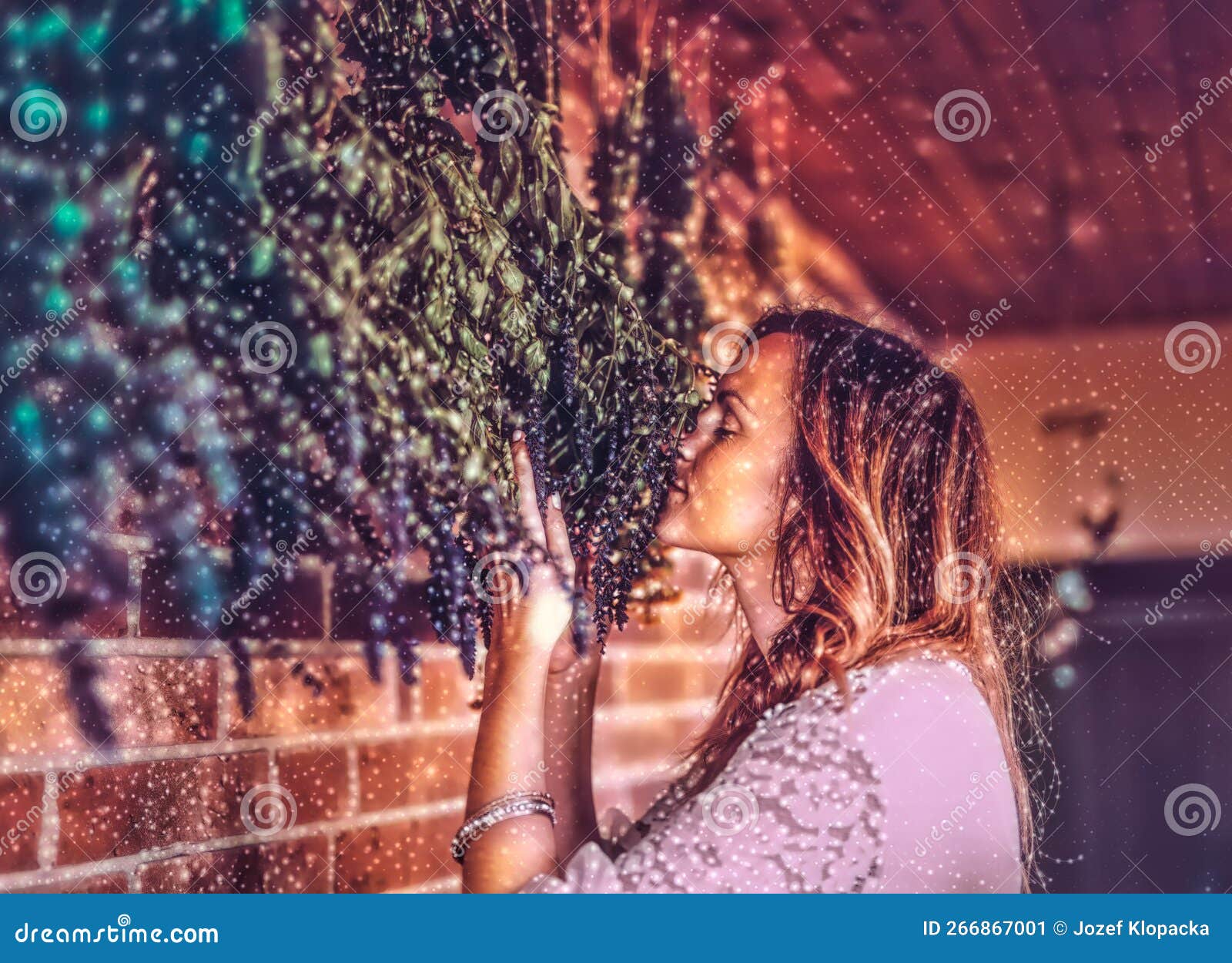 Fresh Herbs Drying and Hanging on the Wall. Magic Light Effect. Stock ...