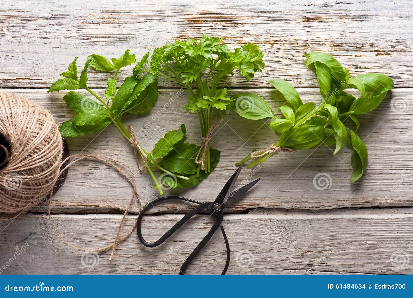 Fresh herbs stock photo. Image of natural, herbal, basil - 61484634