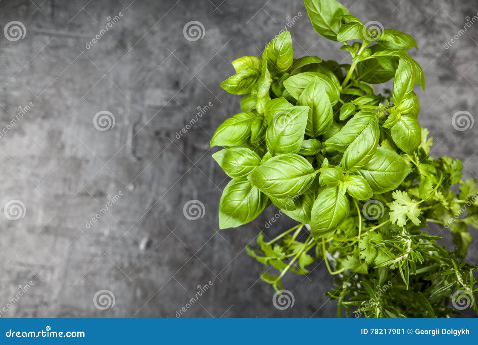 7,973 Fresh Herbs Grey Background Stock Photos - Free & Royalty-Free ...