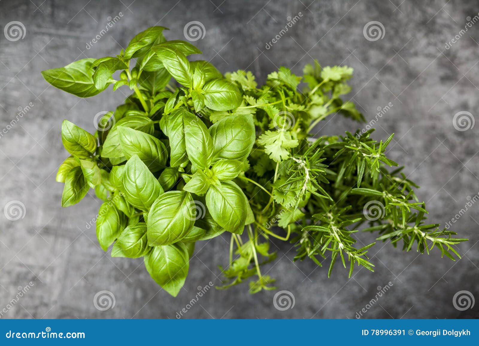Fresh Herbs on Grey Background Stock Image - Image of seasoning ...