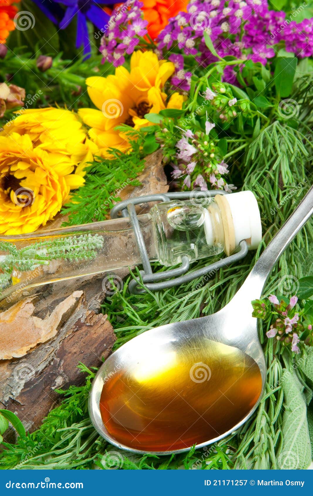 Fresh Herbs for Herbal Medicine Stock Image - Image of calendula ...