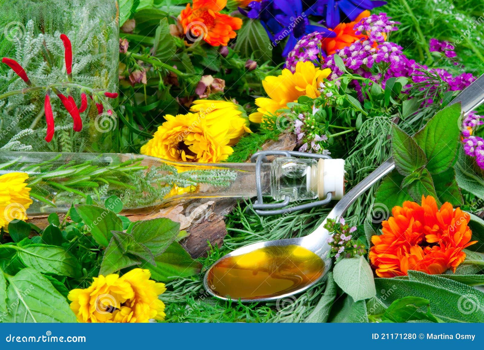 Fresh Herbs for Herbal Medicine Stock Photo - Image of herbs, plant ...