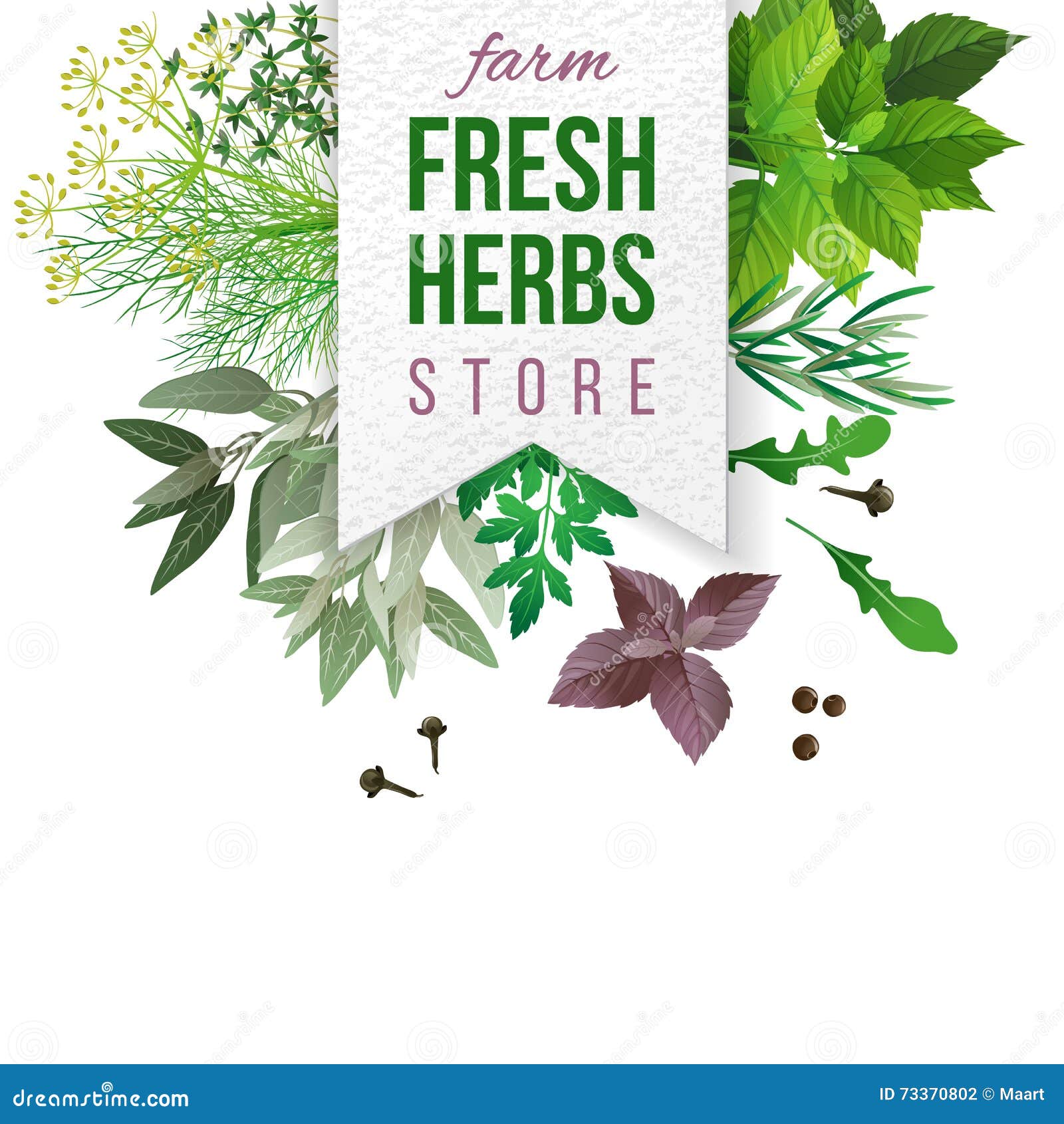 Fresh herbs store emblem stock vector. Illustration of basil - 73370802