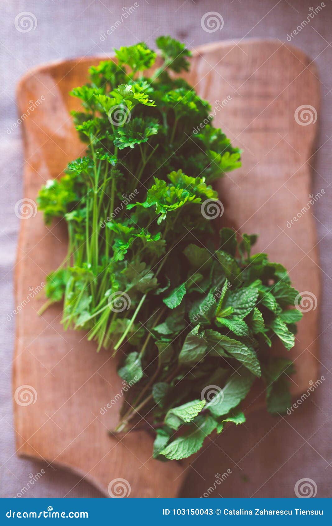 Fresh Herbs on the Table- Top View Stock Image - Image of filter ...