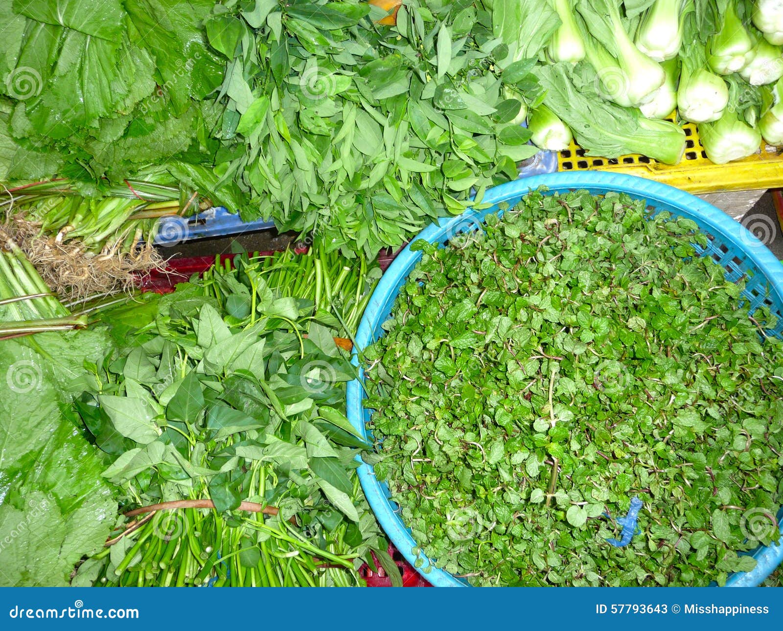 Fresh herbs stock image. Image of herbs, herbage, local - 57793643