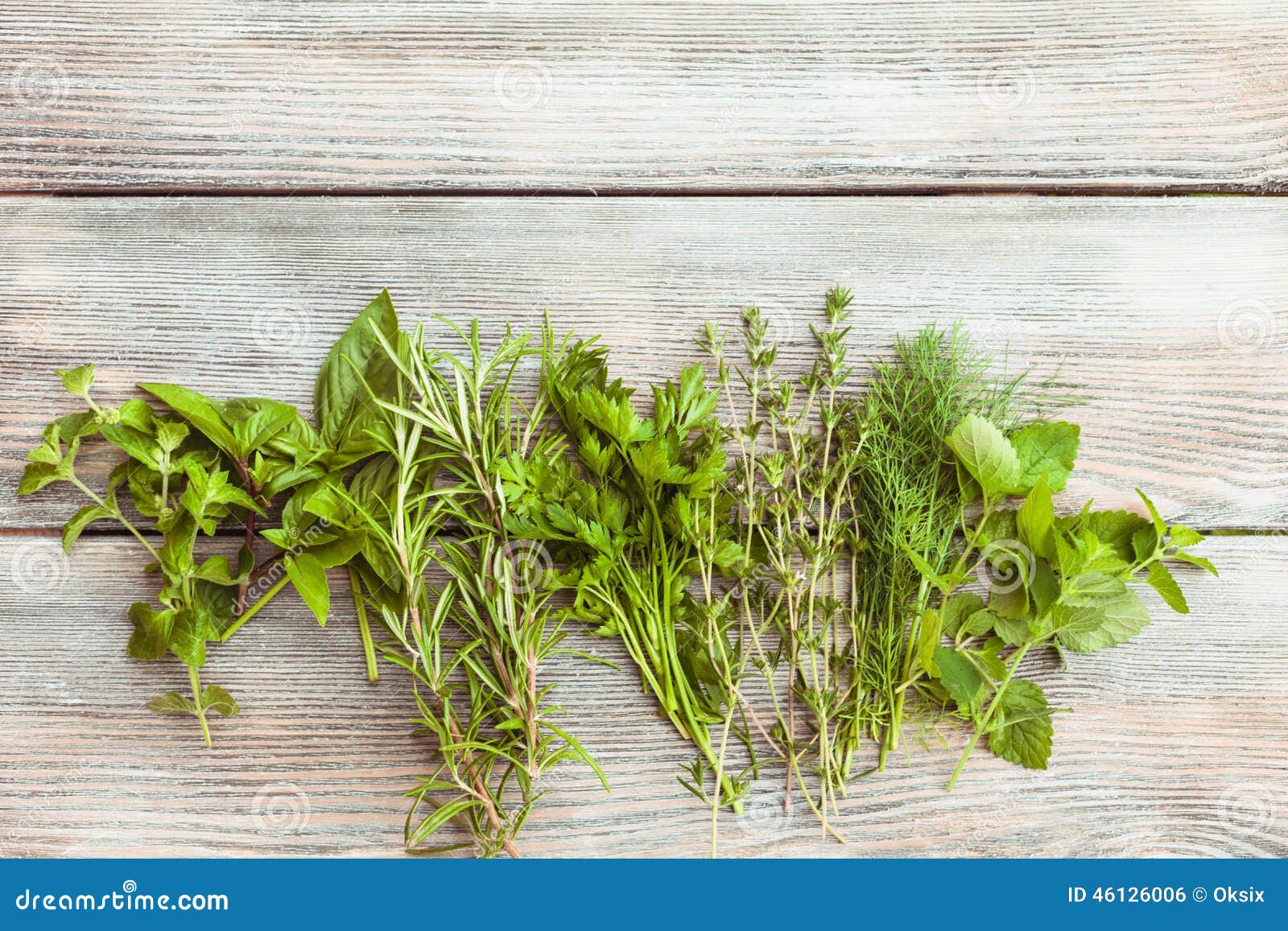 Fresh herbs stock photo. Image of macro, basil, green - 46126006