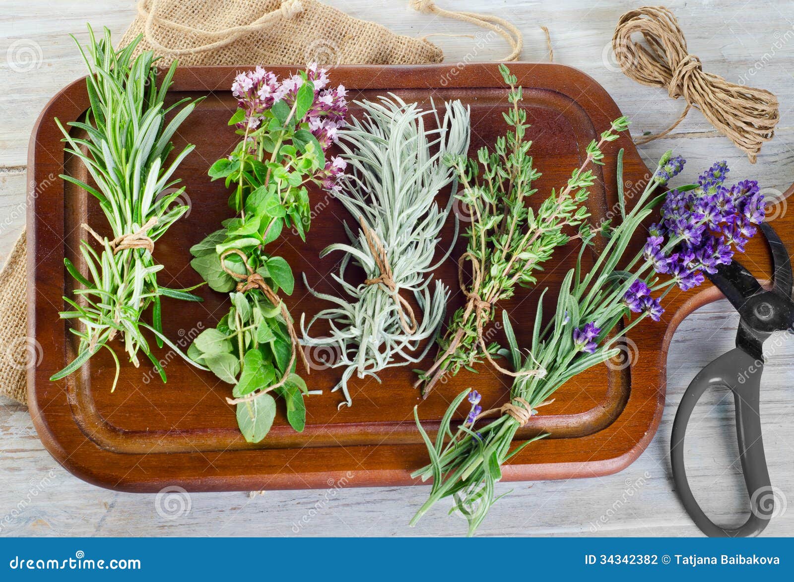 Fresh herbs stock photo. Image of medicine, healthy, basket - 34342382