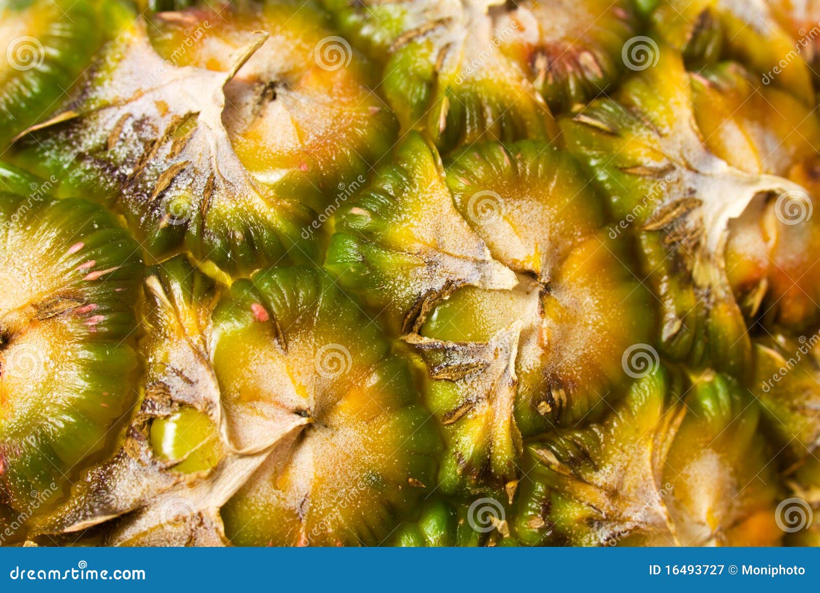Fresh High Resolution Photo Of Pineapple Texture Stock Image - Image of ...