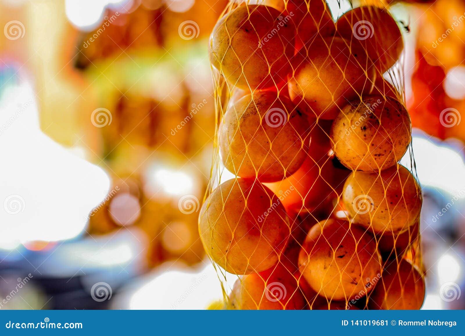 Fresh Hog plum stock image. Image of janeiro, fresh - 141019681