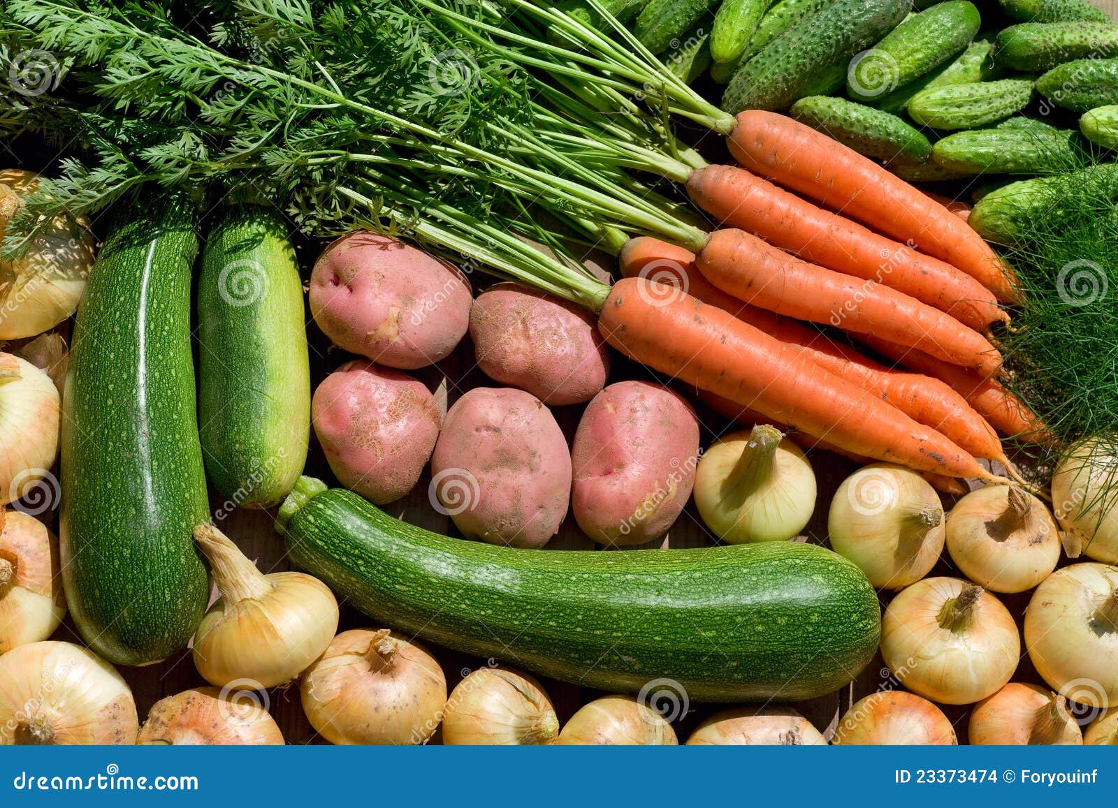 Fresh homegrown vegetables stock photo. Image of cooking - 23373474