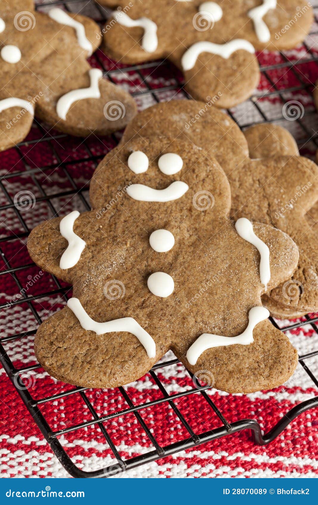 Fresh Homemade Gingerbread Men Stock Image - Image of iced, icing: 28070089